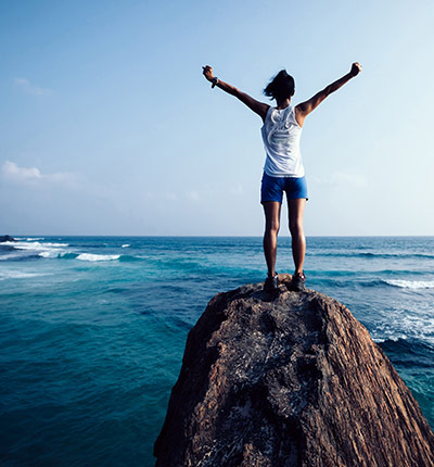 Get your free employment status. | IR35 Shield